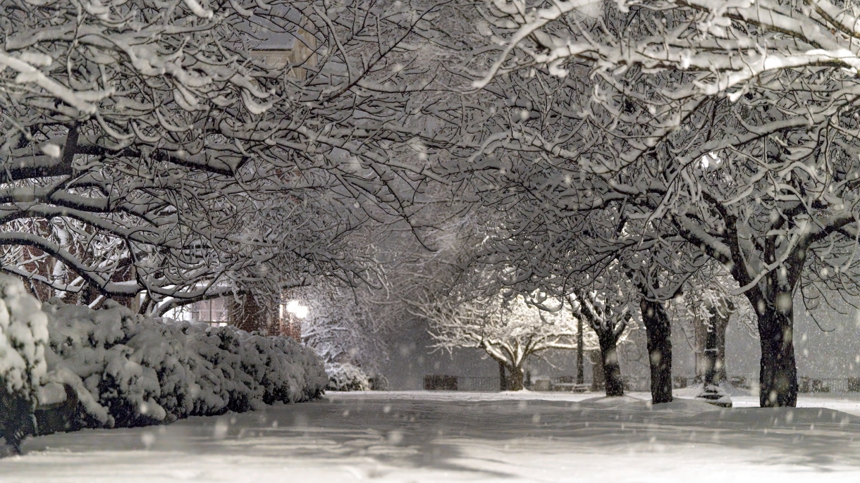 Faculty & Staff Resources and Info | Bucknell