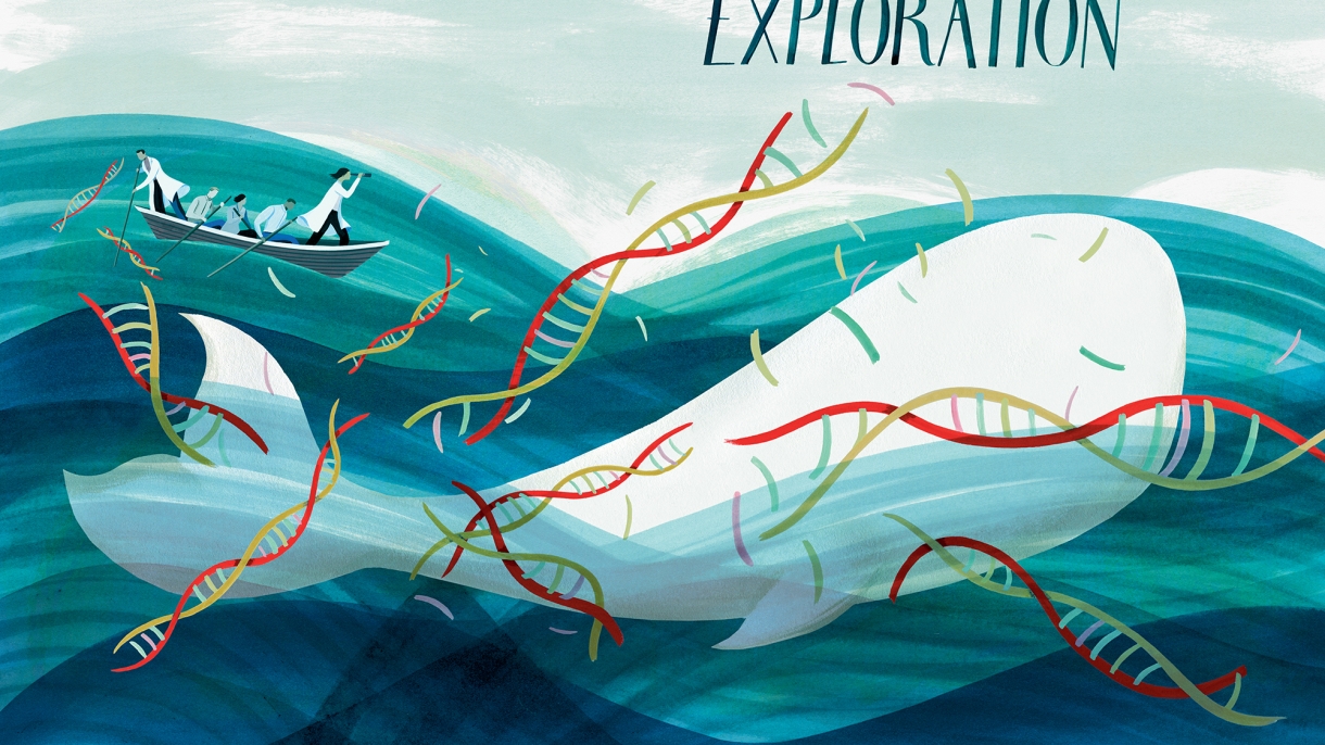 A New Age of Exploration